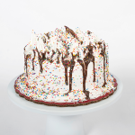 Zebra – Sweet El Salvador